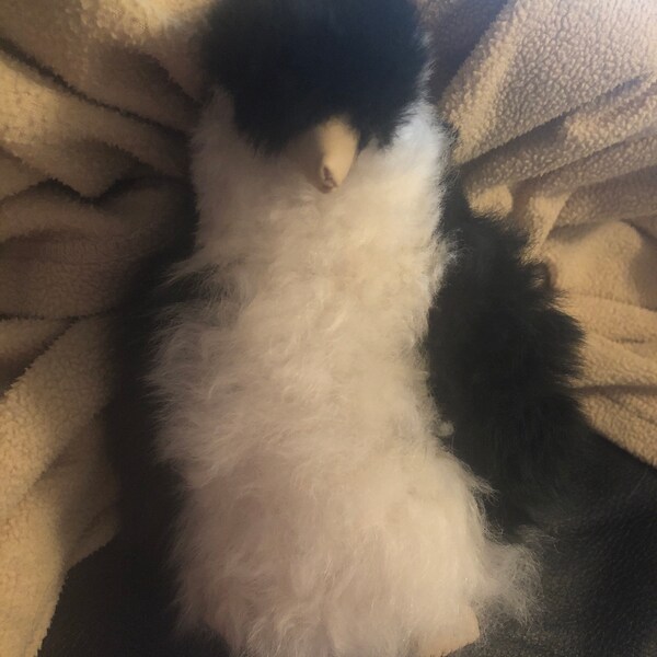 Teddy Condor, Alpaca Condor Plush, Plush Alpaca, Plush, Peru Condor ...