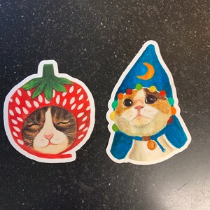 Funny Birthday Sweater Cat/ Smug Cat/ Birthday Card/ Cheeky | Etsy