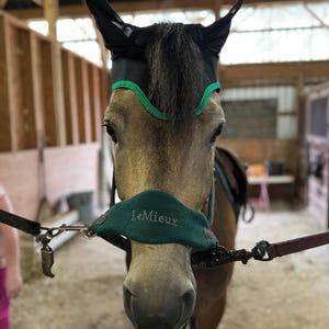 Horse RIDING COVER in Cranberry Red Lycra for Your Riding Helmet - Etsy