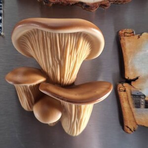 Skele-gro Bottle - Etsy