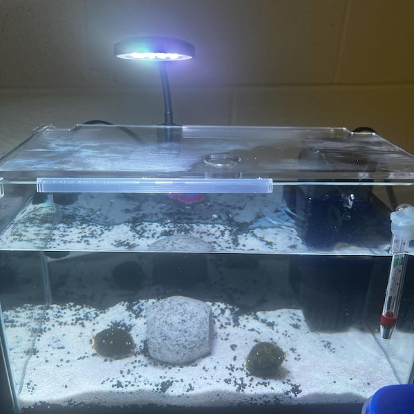 Acrylic Aquarium Lid: 2.5/5.5/10 Gallon | Clear Terrarium Cover ...