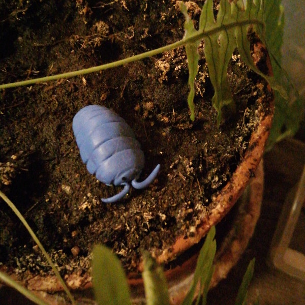 Clay Isopods - Etsy