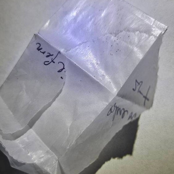 Rare Exotic Costa Rican Umbrella Plant 10 Seeds - Etsy Canada