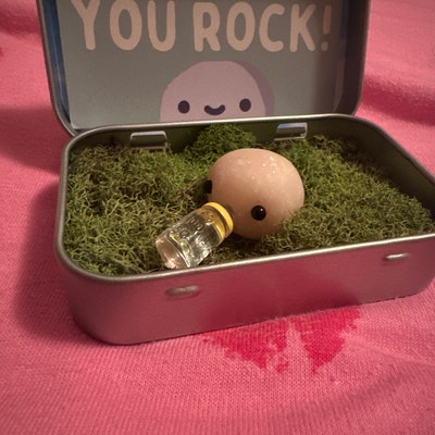 OPAL BABY ROCK W/ Birth Certificate Adopt a Pretend Friend, Fun ...