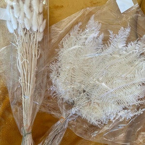 Bunny Tails White Lagurus 15g Dried Flower White Floral Arrangement ...