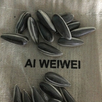 Ai Weiwei Porcelain Sunflower Seeds LONDON TATE MODERN 50 Pcs - Etsy