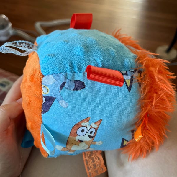 Made to Order- Bluey Sensory Cube - Etsy