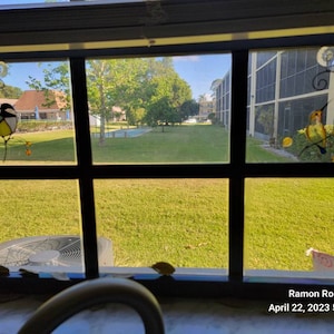 Reindeer Stained Glass Window Hangings Christmas Ornaments - Etsy