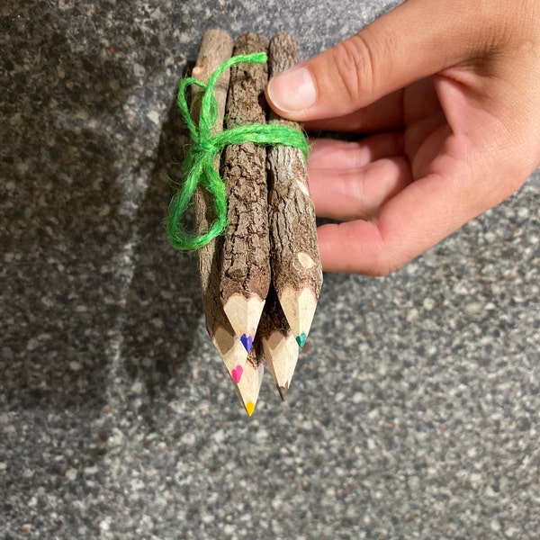 Twig Pencil Crayons, Colouring Pencils - Etsy UK