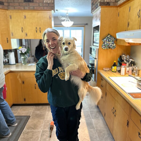 Varsity Custom Embroidered Dog Sweatshirt Custom Dog Sweater Embroider ...