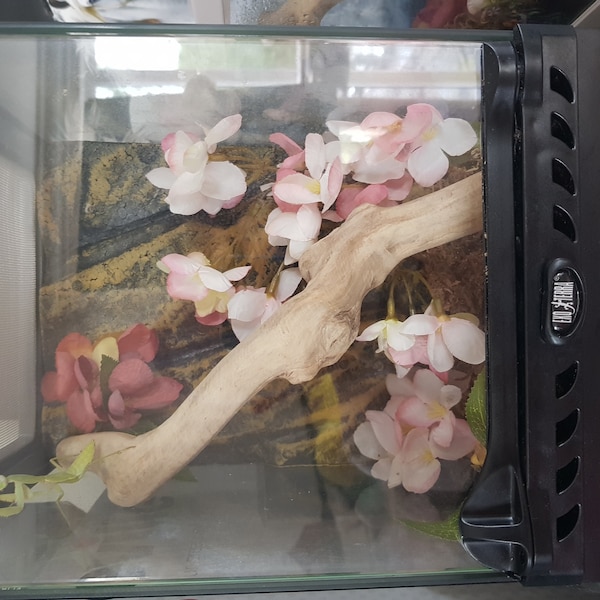 Small Terrarium Label Laminated Enclosure Label Exotic Pet Informative ...