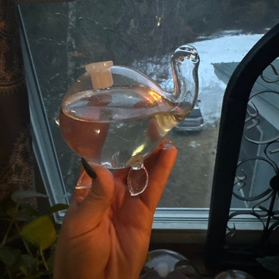 Bio-orb Glass Sphere Only 10cm and 15cm Sizes - Etsy