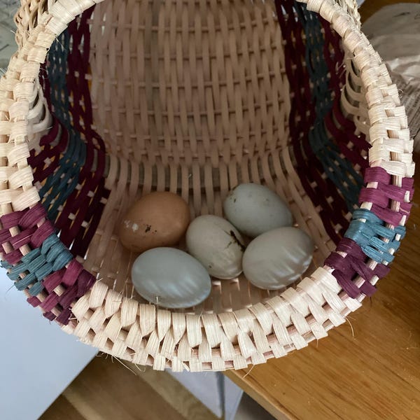 Large Functional Chicken Nesting Box Wall or Floor Mount Cabinet Made ...