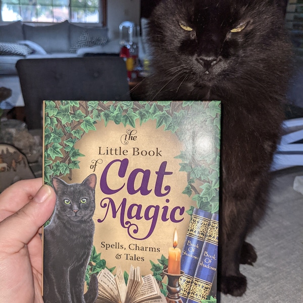 The Little Book of Cat Magic Book by Deborah Blake Spells Charms Tales ...