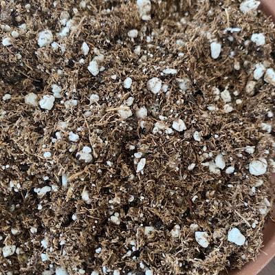 Hirt's Gardens All Natural General Purpose Potting Soil 4 Quart - Etsy