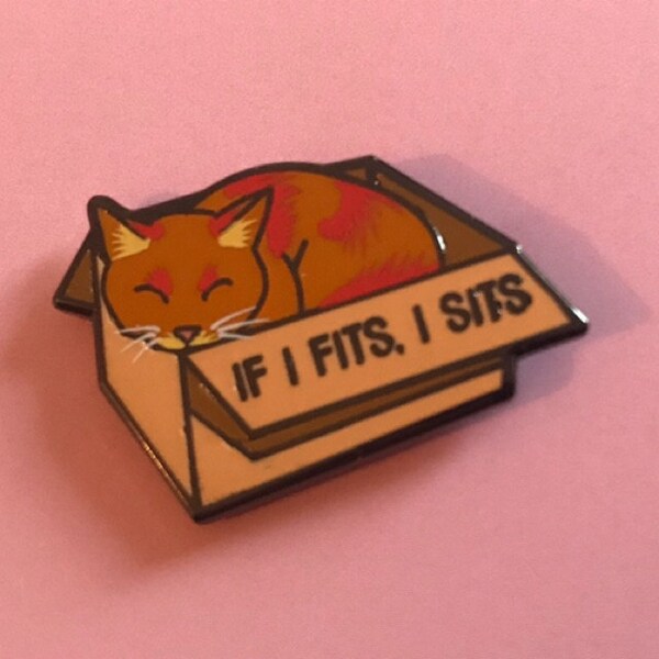 If I Fits I Sits Ginger Cat Pin Badge • Cute Cat in Box Enamel Pin ...