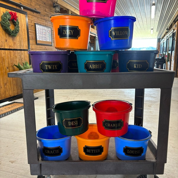 CUSTOM LOGO Decals | Horse Bucket Labels | Vinyl Name Plate Decals ...