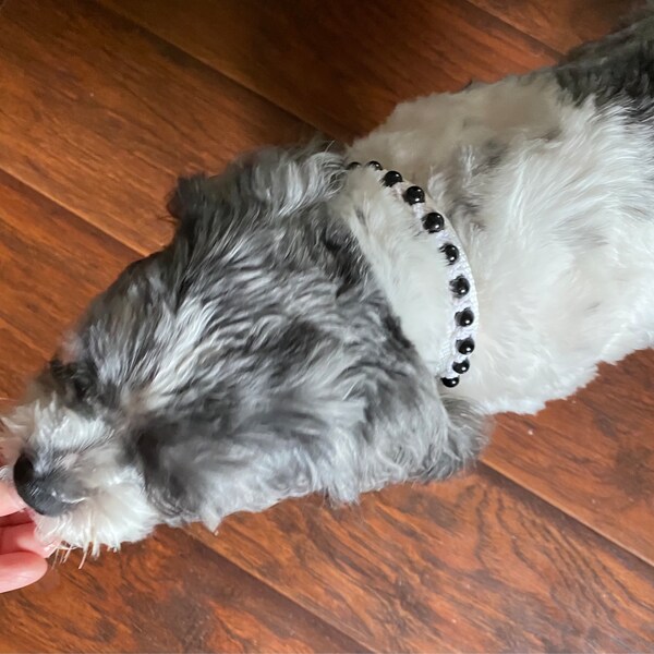 Jade Dog Collar - Crystal Dog Collar - Crystal Healing Collar - Dog ...