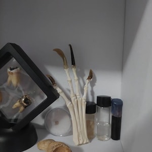 1PCS Real Fox Feet Articulated Bones Claws Paws Taxidermy Gift ...
