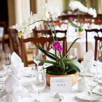 DIY Wedding Table Names and Number Template Printable - Etsy UK