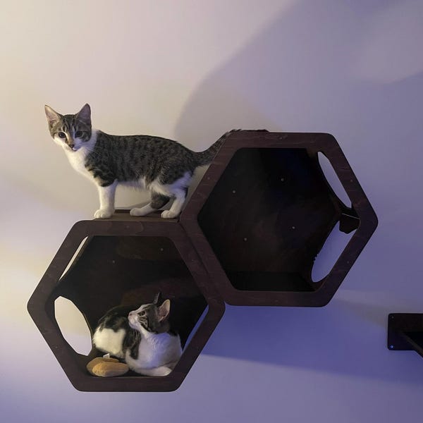 Cat Wall Furniture Full Set, Cat Wall Shelves, Cat Wall Bed, Cat Wall ...