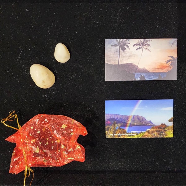 False Star Limpet Opihi Shells for Jewelry Making From Kauai - Etsy