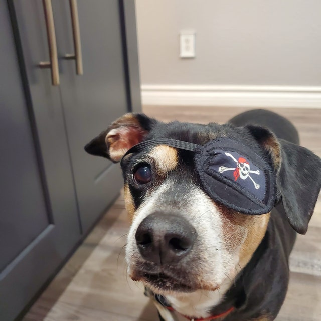 Eye patches for kids babies adults Dogs and by EyeLoveMyPatch