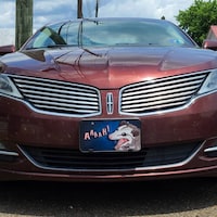 Funny Possum License Plate Screaming Possum License Plate - Etsy