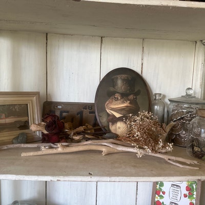 Mr Frog Victorian Portrait Vintage Style Cottagecore Animal Wall Art ...