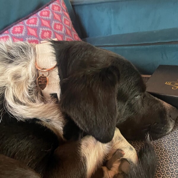 John Rambo Stainless Steel Military Dog Tag Set Movie Prop Halloween ...