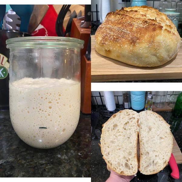 Beginners Basic Sourdough Starter Kit With Weck Tulip Jar, San ...