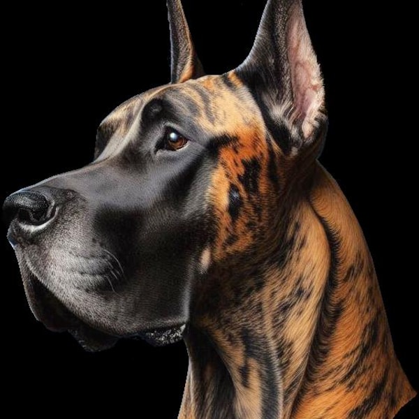 Portuguese Water Dog SVG & PNG Clipart Bundle: Digital Line Art, Portie ...