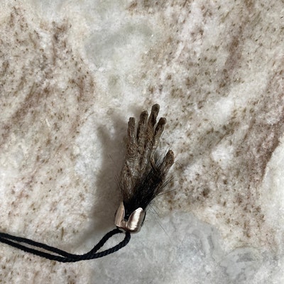 Preserved Fairy Remains - Etsy