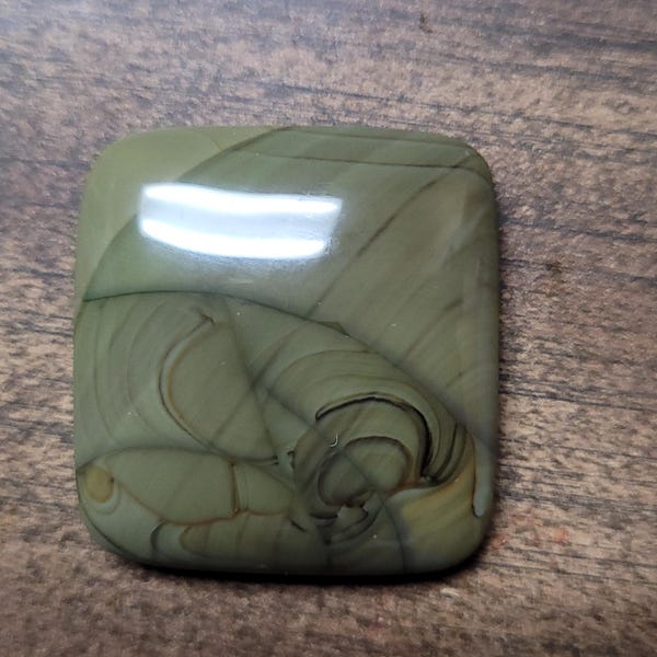 Grasshopper ? Larva - Nematode Worm Parasite - Fossil Plate - Etsy