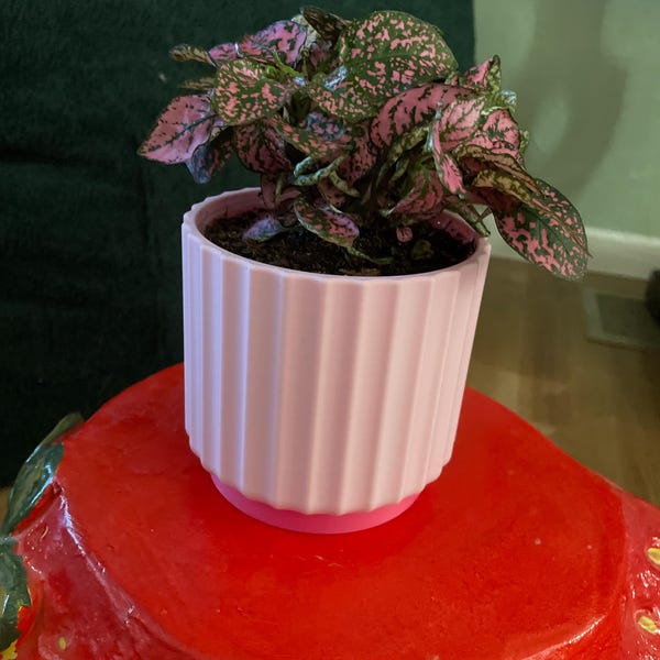 Color Pop Rainbow Planter Trio: 3D Printed Colorful Plant Pot Set - Fun ...