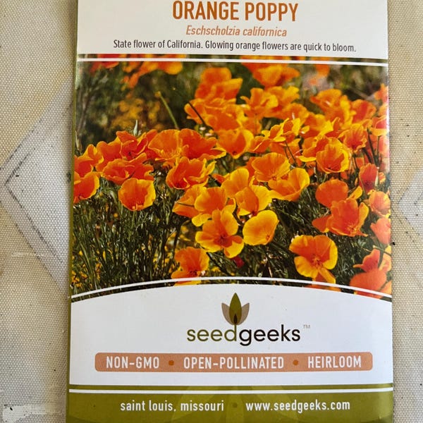 Northern Blazing Star Flower Seeds Heirloom Seeds, Native Seeds ...