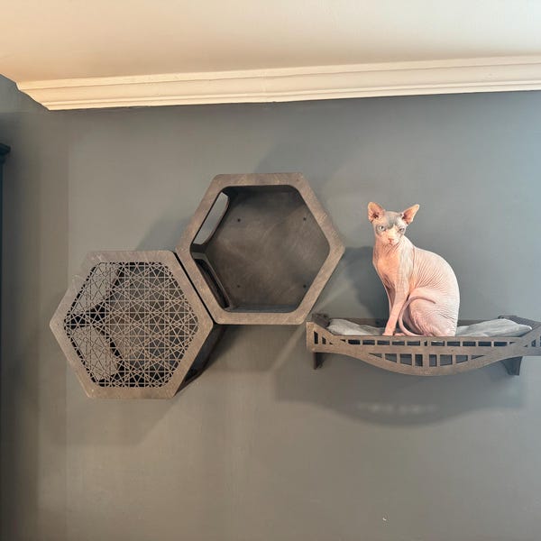 Unique Cat Bed, Cat Shelf, Cat Wall Furniture, Cat Wall Shelves, Cat ...