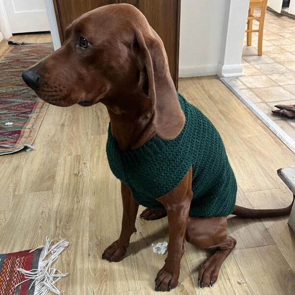 Ledger Sweater CROCHET Pattern Beginner Friendly Sweater for Dogs in 5 ...