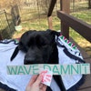 Wave Damnit Decal - Etsy
