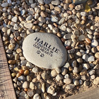 Family Tree Written in Stone Custom Carved River Rock Garden Decoration ...