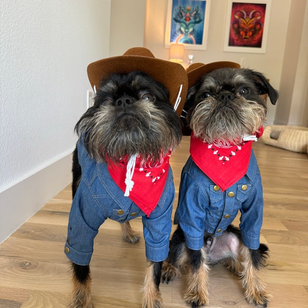Dog Denim Western Shirts, Cowboy Jean Shirts, Puppy Dress Shirt, Dogs ...