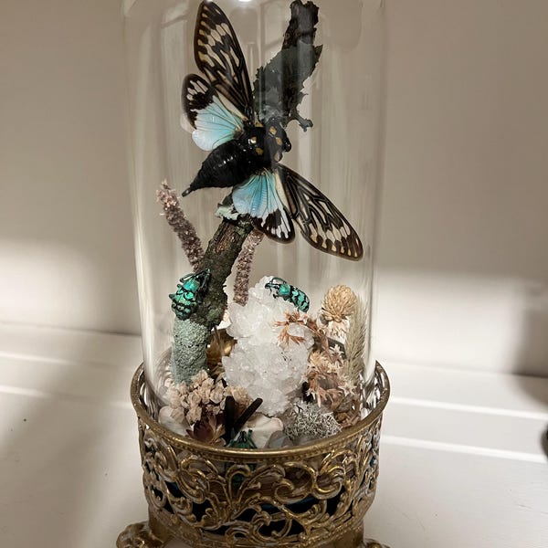 25, 50, 100 A Grade Real Butterfly Wings, Wings for Crafts, Laminated ...