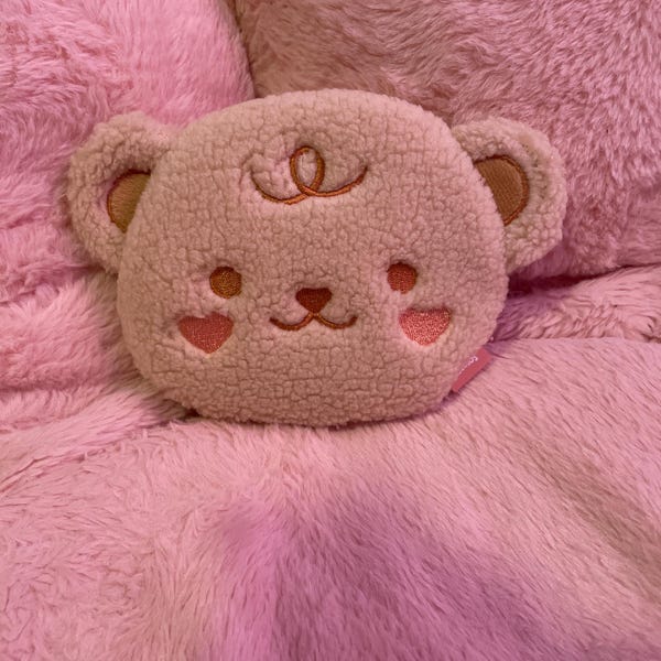 Choco Bear Plush Coin Purse | Kawaii Bear Bag, Plush Purse, Plush Coin ...