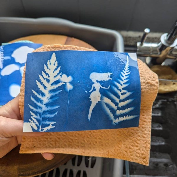 Cyanotype Template , Choose Your Stencil Kit , Solar Printing Stencil ...