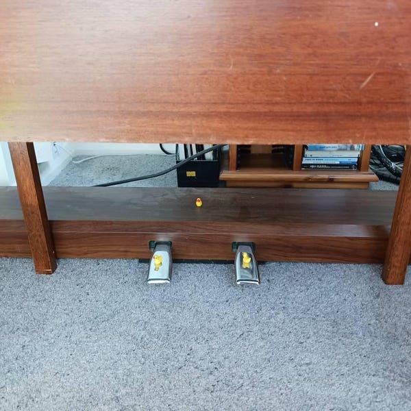 100 Duck Challenge Kit, Hide-a-duck Kit, Miniature Duck Scavenger Hunt ...