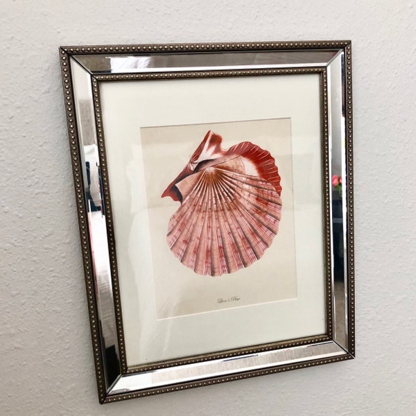 Seashell Art Print Poster Ocean Decor Beach Art Print Natural History ...