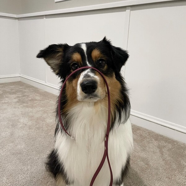 4 Dog Sled Line - Etsy