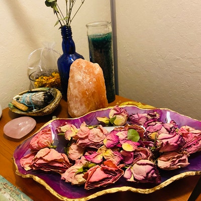 Parrot Poster Parakeet Digital Wall Art Bird Poster Wall Decor - Etsy