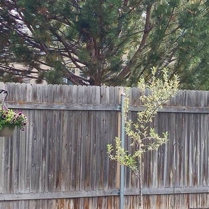 2 PCS Hangs EZ Fence Post Hangers With Ivy Insertsplant Hanger, Garden ...