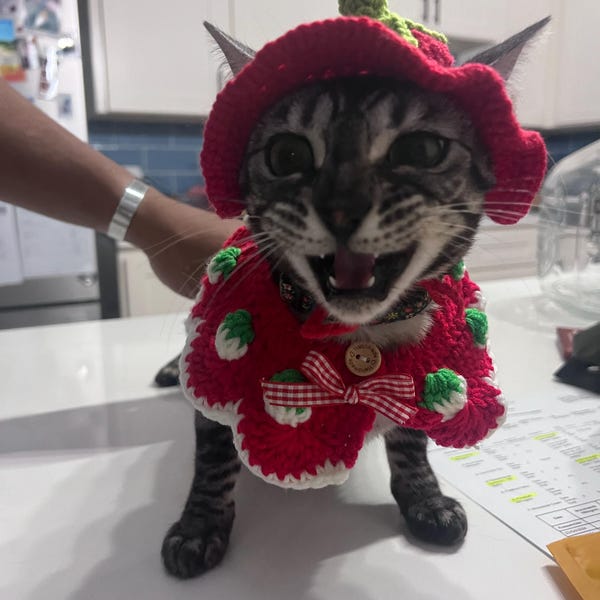 Adjustable Cute Crochet Soft Ribbon Kitten Collar Pet Costume Cat ...